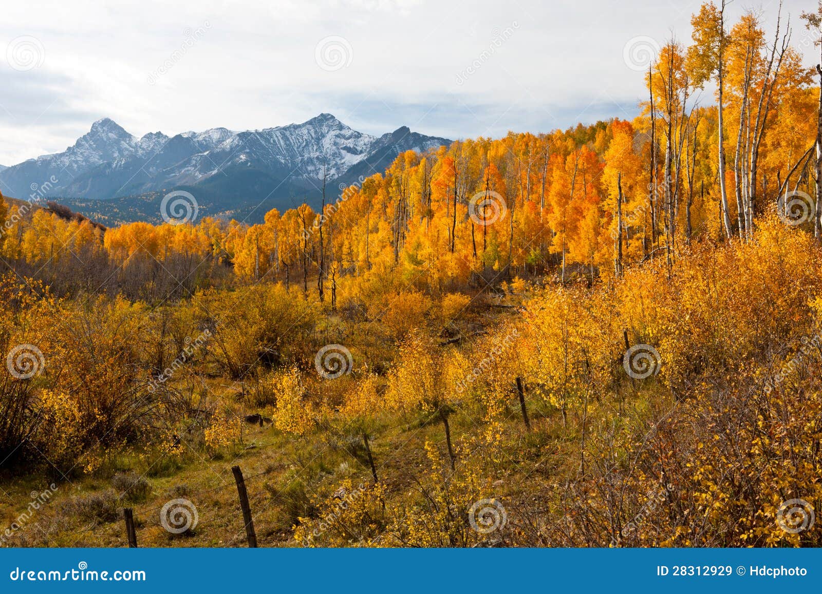 Rugged Colorado Mountains in Fall Stock Image - Image of rustic, leaves ...