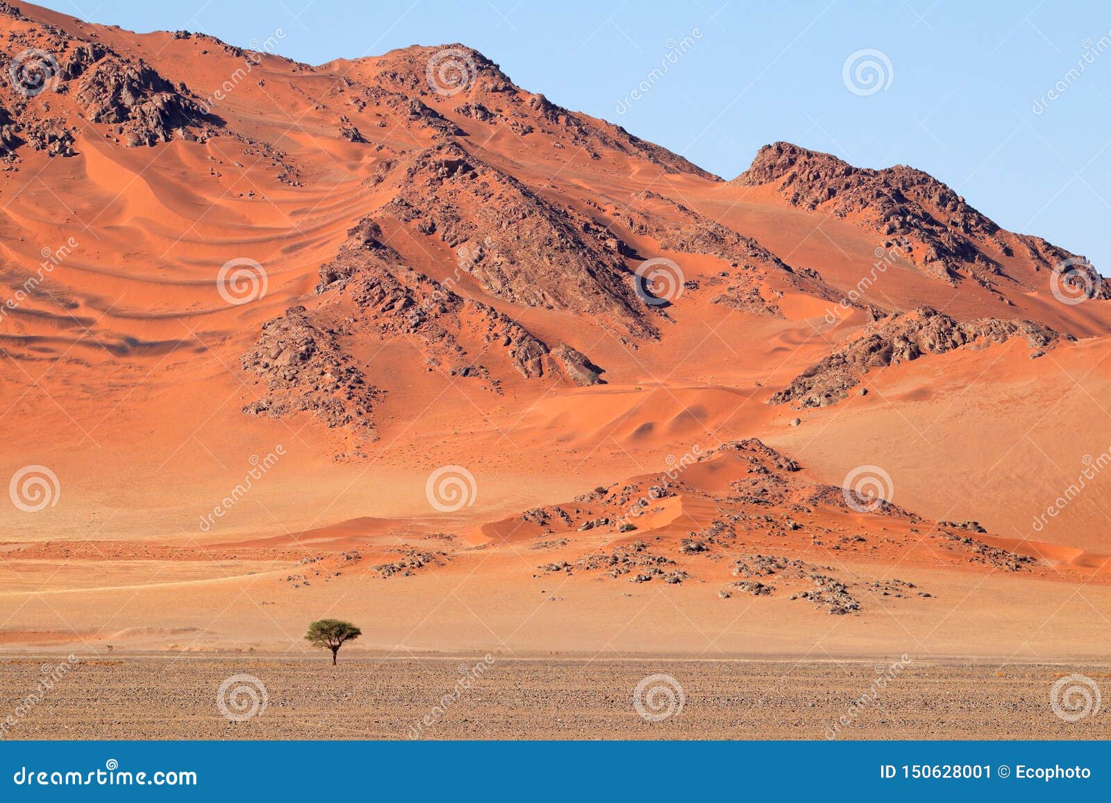 Rugged Dune Landscape - Namib Desert Stock Image - Image of scenic ...