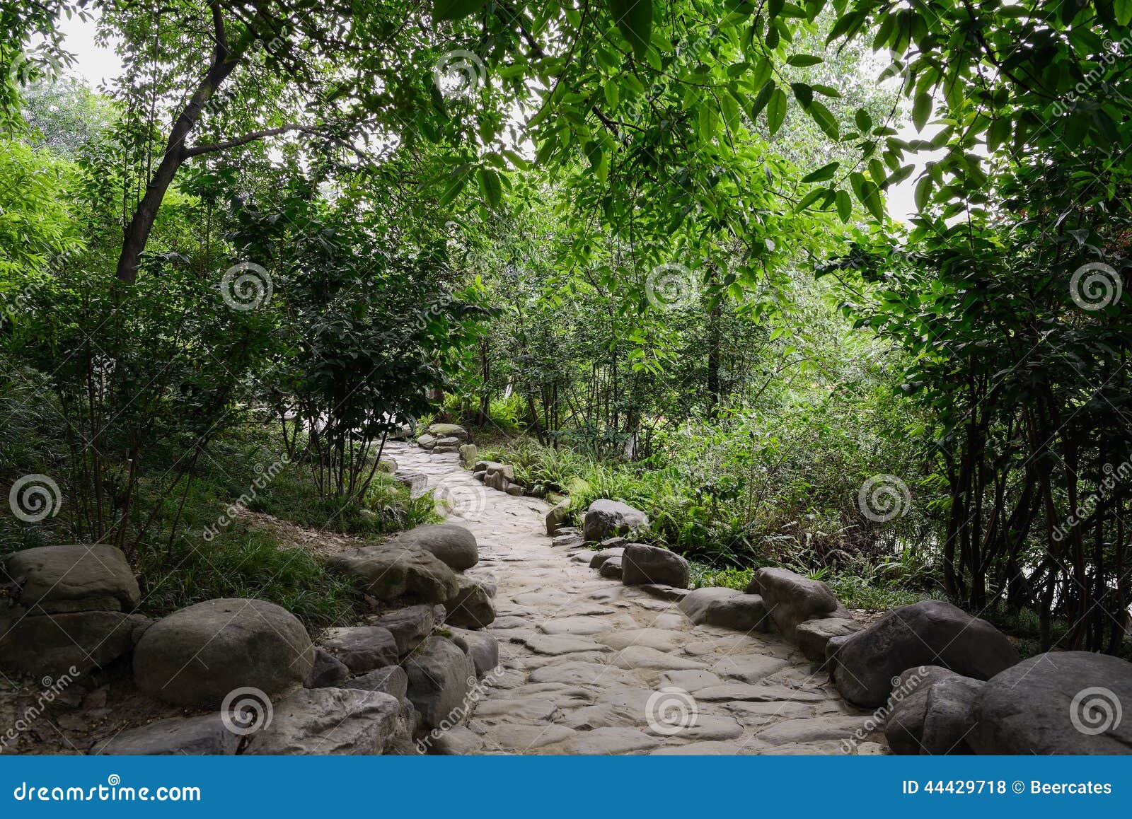 Rugged Hillside Footpath in Shade on Sunny Summer Day Stock Photo ...