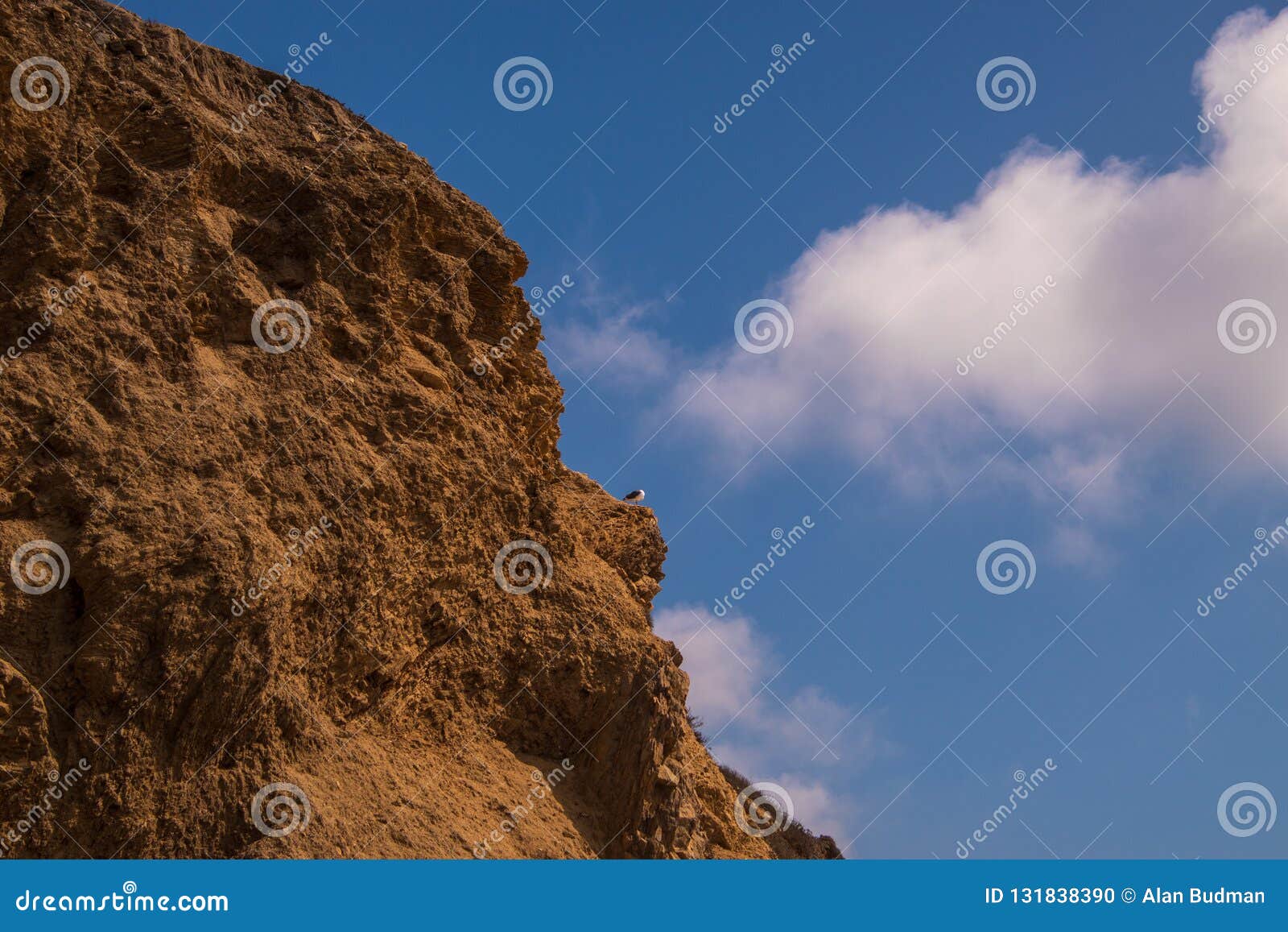 Rugged Jagged Brown Cliff Edge with a Seagull on a Ledge. Deep Blue Sky ...