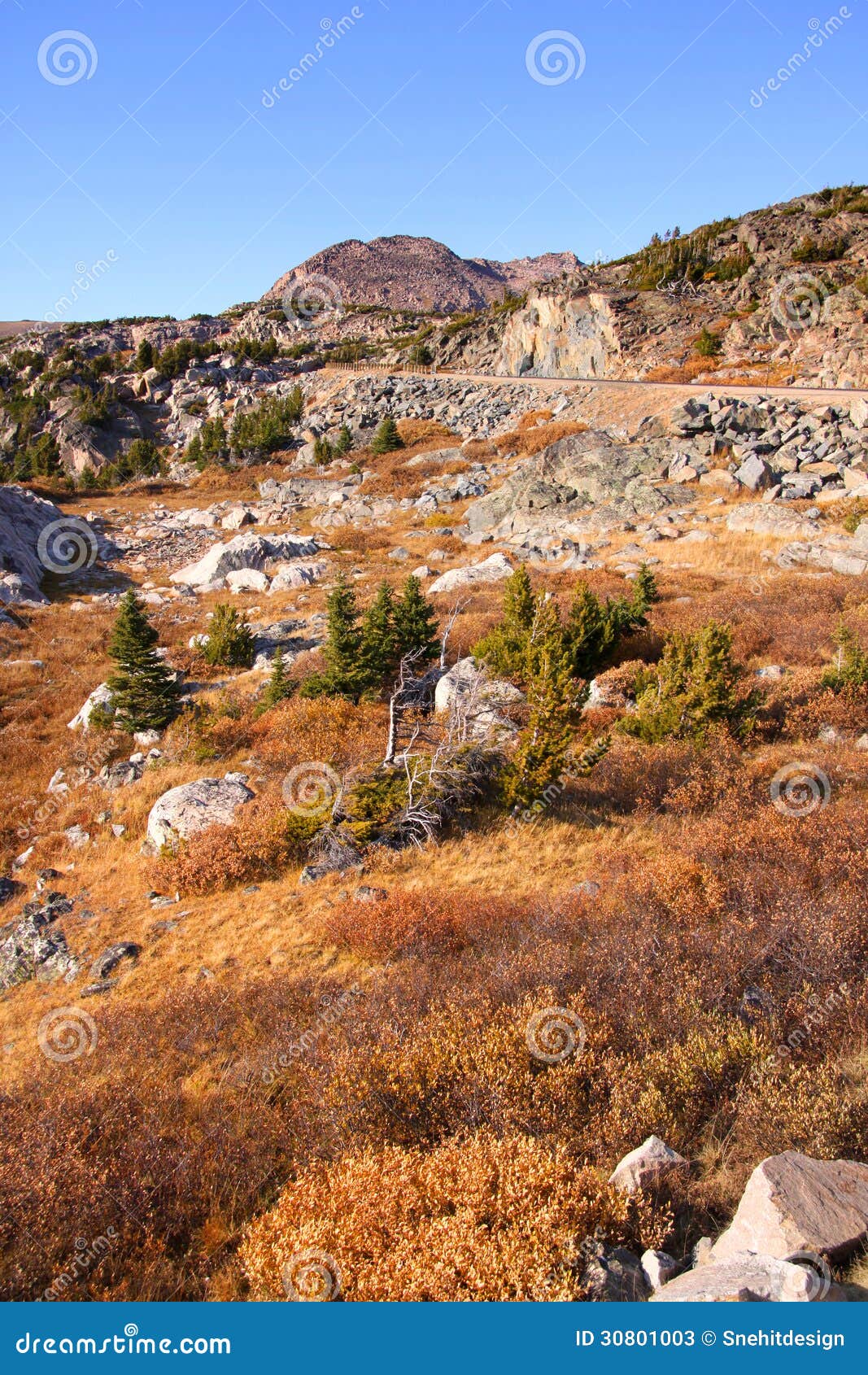 Rugged landscape stock image. Image of bushes, autumn - 30801003