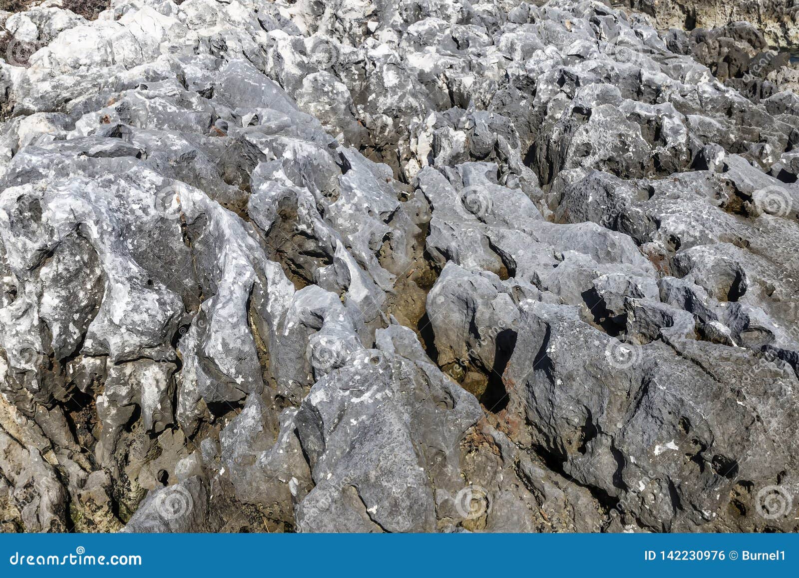 Rugged limestone sea rocks stock photo. Image of rugged - 142230976