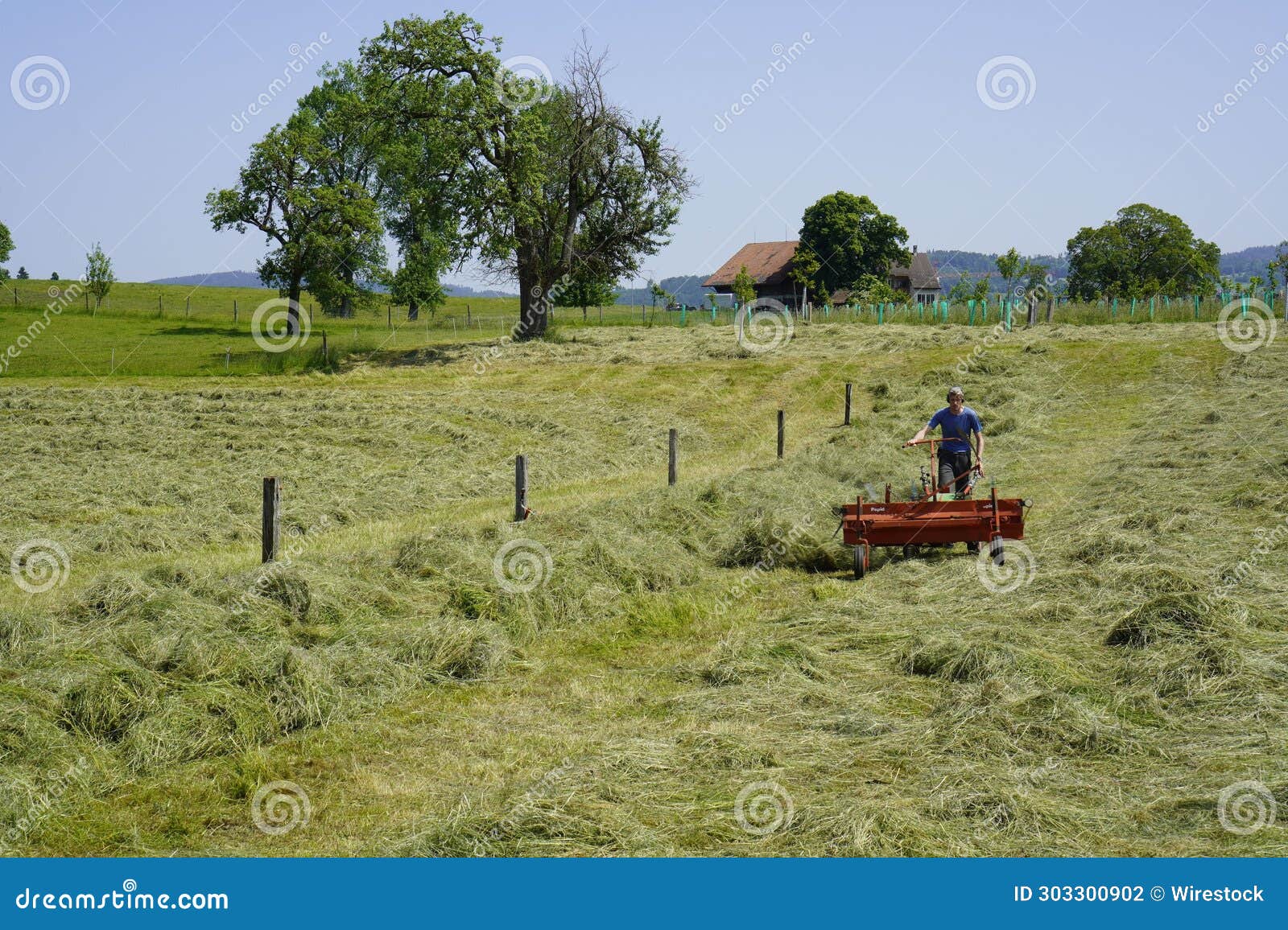 Rugged Male Farmer Harvesting Hay with a Small Tractor Editorial ...