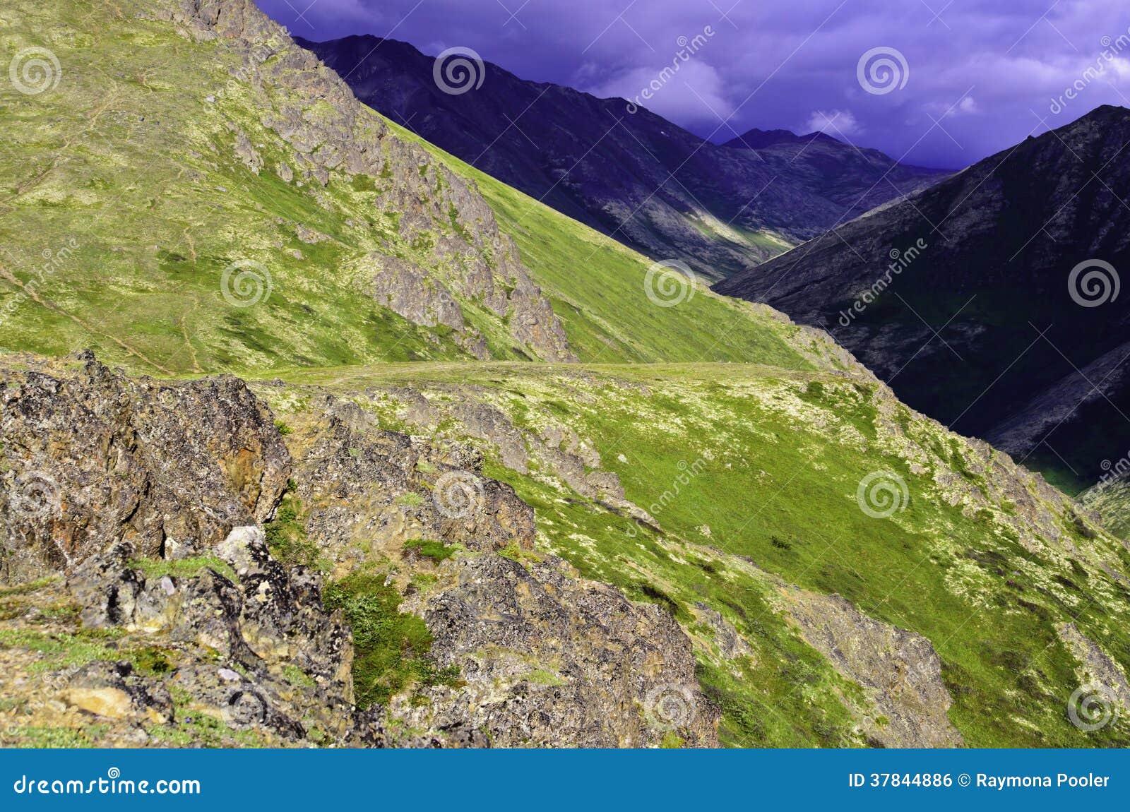 Rugged mountain path stock photo. Image of river, green - 37844886