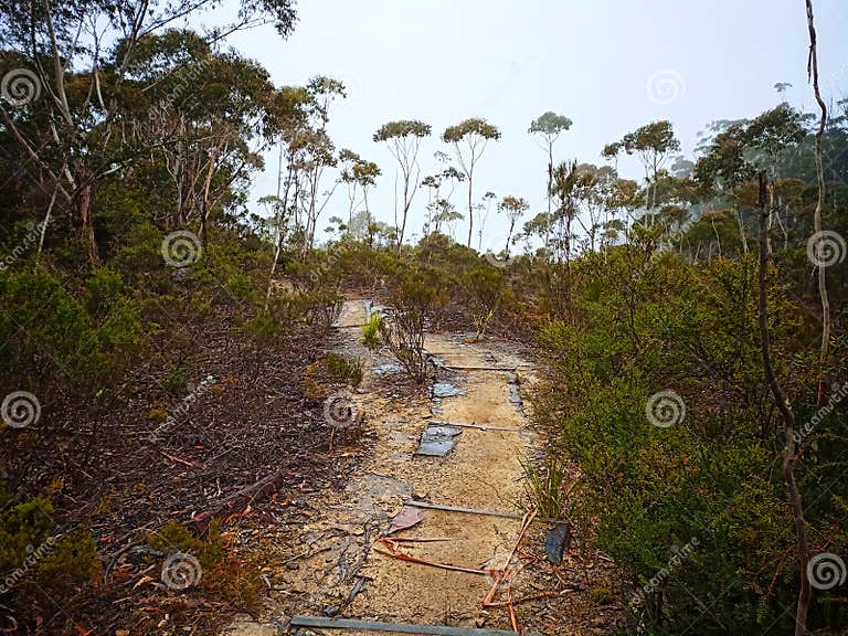 Rugged Path through Australian Bush Stock Image - Image of path, trail ...