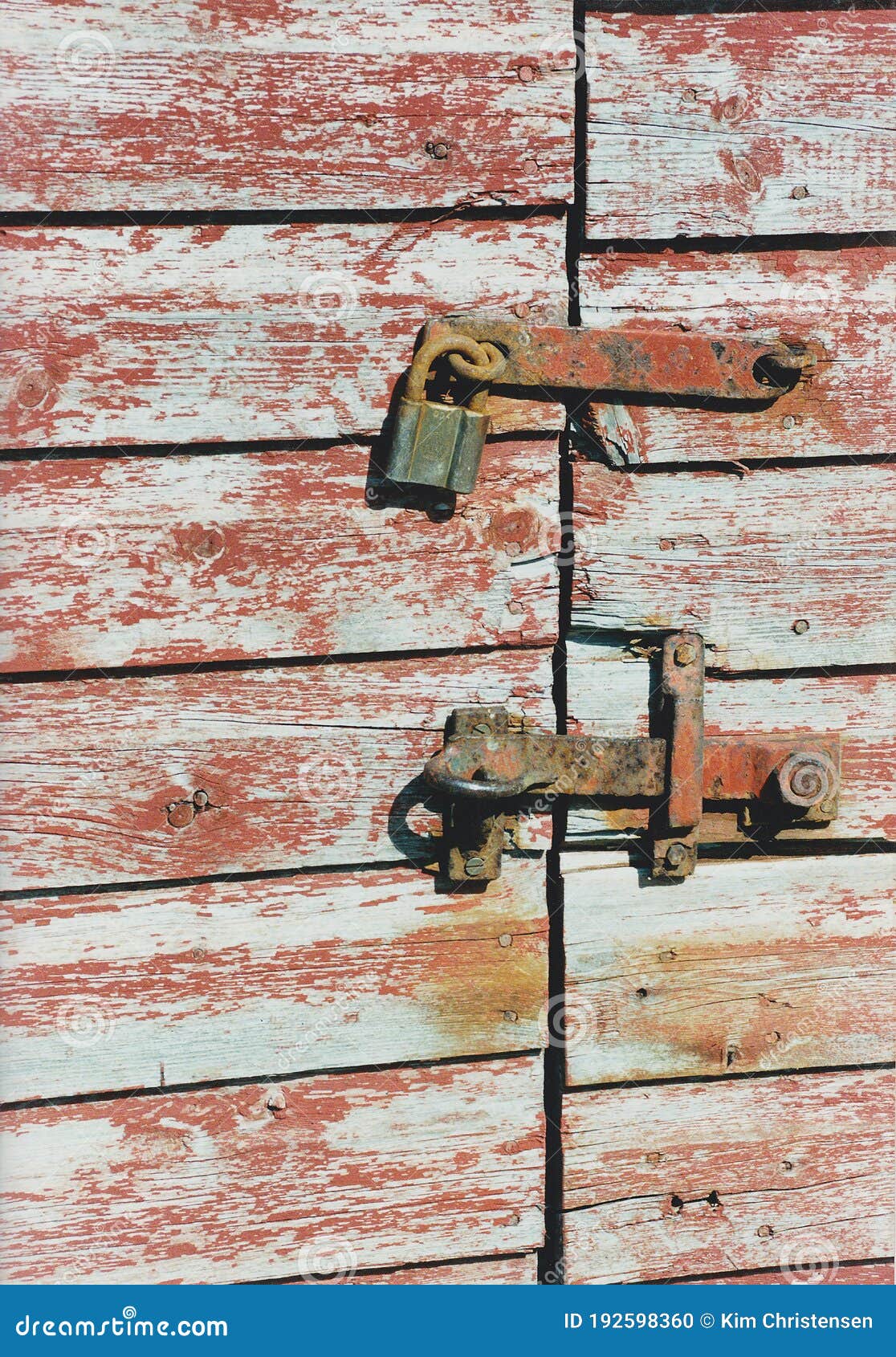 Rugged Red Shed Gate Locked with Rusty Lock and Fittings Stock Photo ...