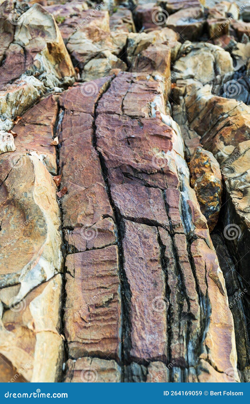 Rugged Rock Ledges on the Coast of Maine in the Early Morning Light ...