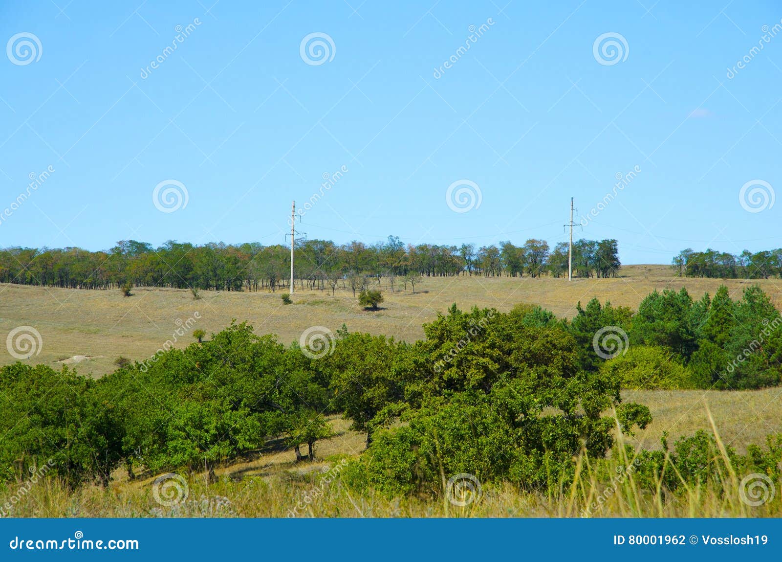 Rugged Terrain. Stock Photography | CartoonDealer.com #80001962