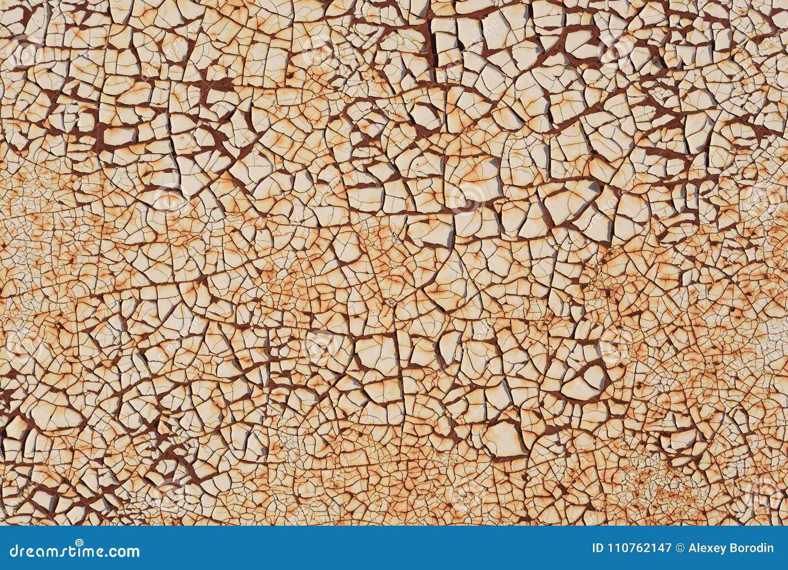 Rugged Texture. Rough Background, Pine Tree Wood Closeup. Soft Colours ...