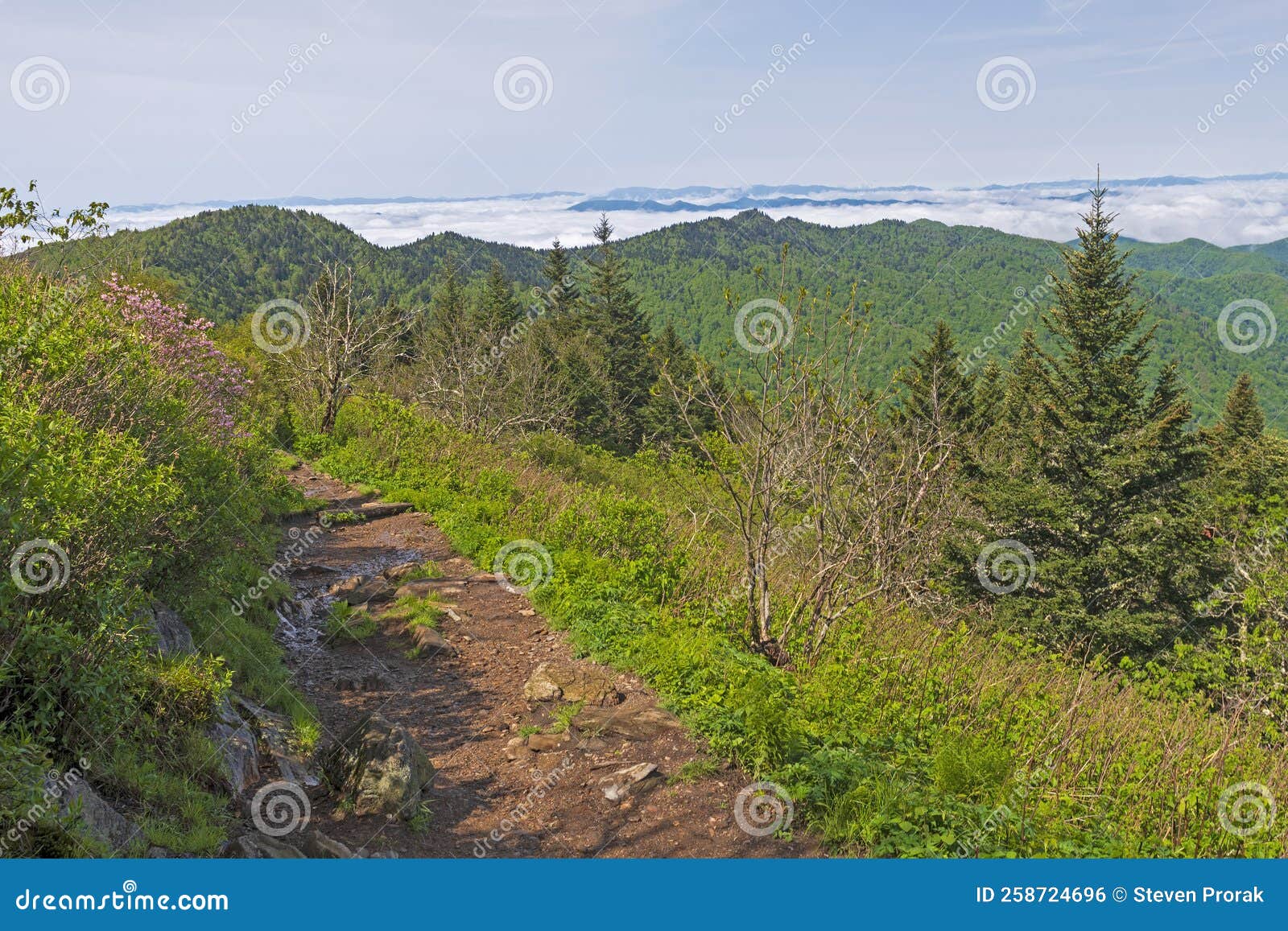 Rugged Trail in the High Mountains Stock Photo - Image of mountains ...
