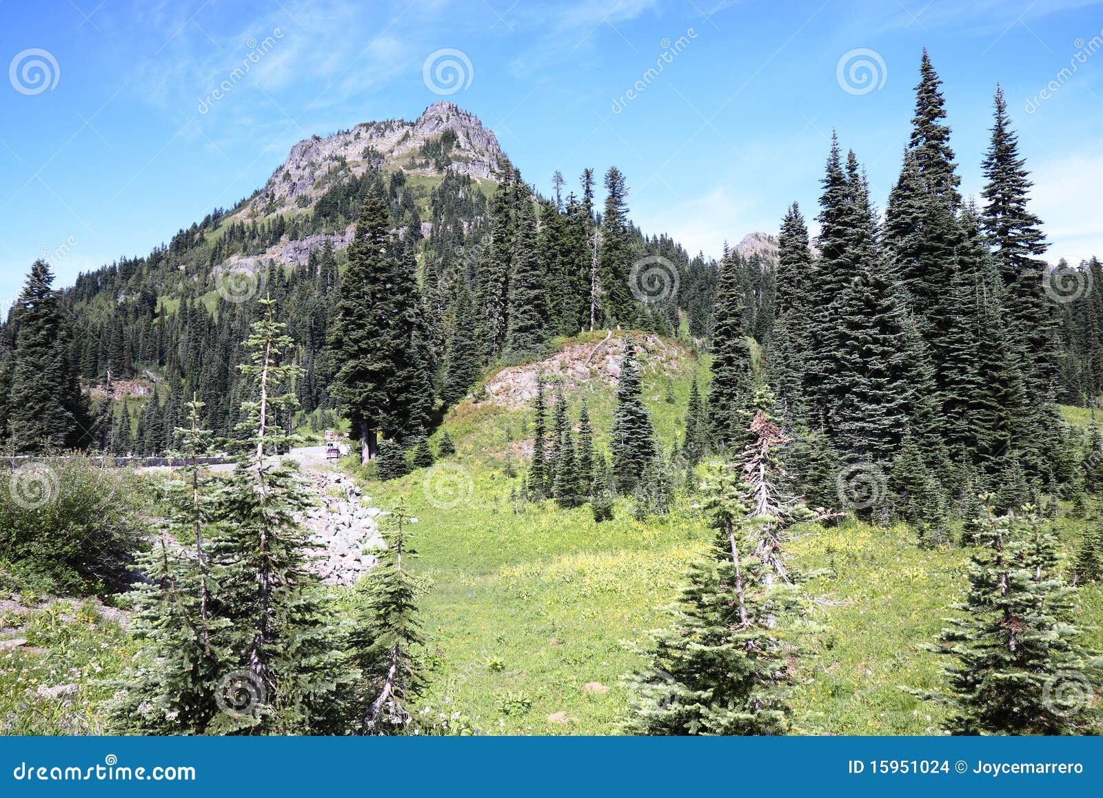 Rugged Wilderness Near Mount Rainier Stock Photo - Image of conifers ...