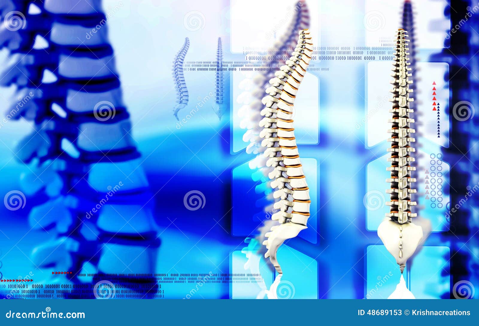 Ruggegraat stock afbeelding. Image of technologie, drie - 48689153