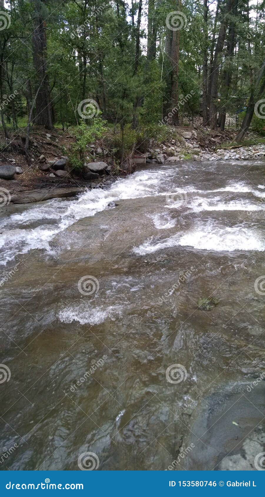 Ruidoso River stock photo. Image of ruidoso, nature - 153580746