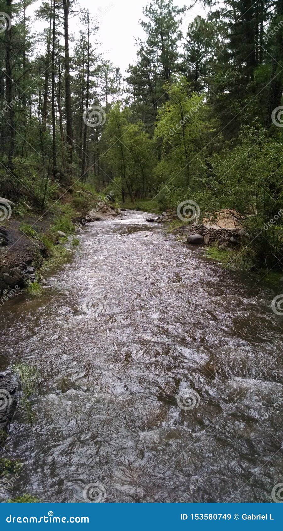 Ruidoso River stock image. Image of water, river, ruidoso - 153580749