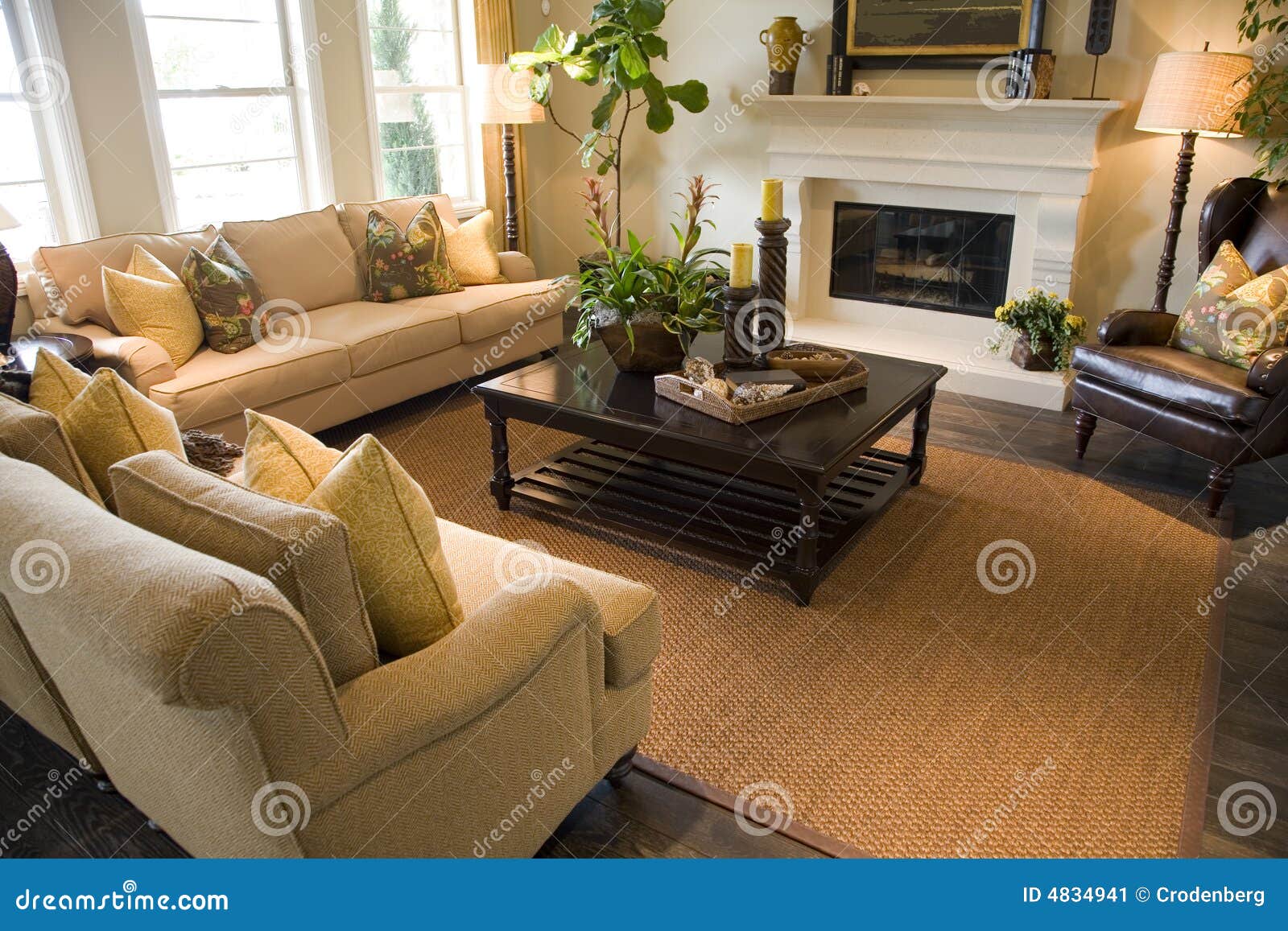 Ruime woonkamer stock afbeelding. Image of hoofdkussen - 4834941