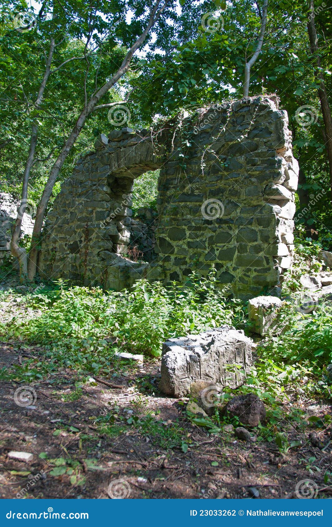 A ruin in the forest stock photo. Image of brown, abstract - 23033262