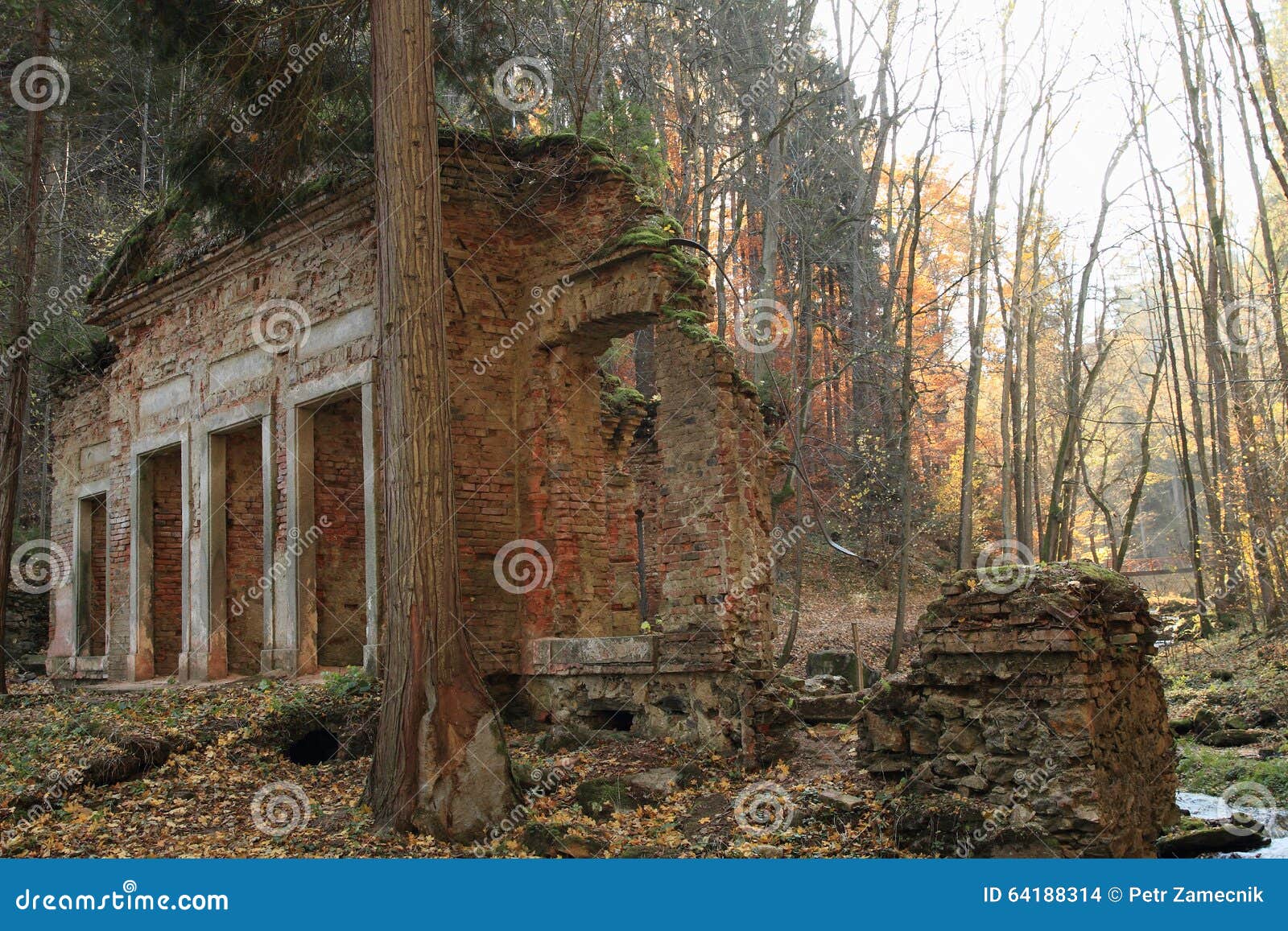 Ruin in forest stock photo. Image of republic, teraino - 64188314