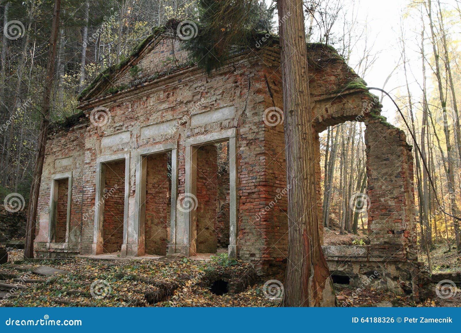 Ruin in forest stock photo. Image of destroyed, dolashy - 64188326