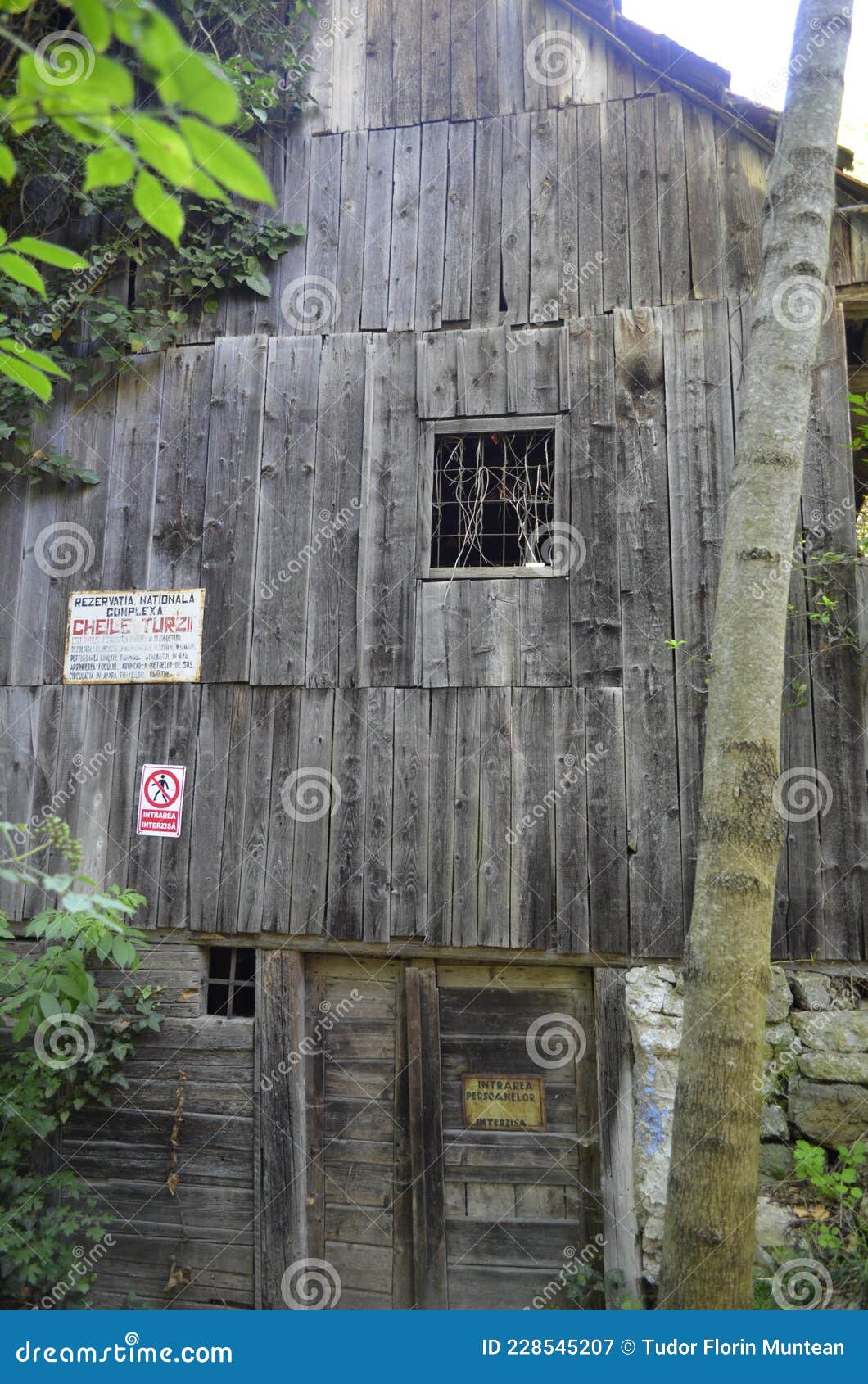 The ruin of a house stock image. Image of ruins, temple - 228545207