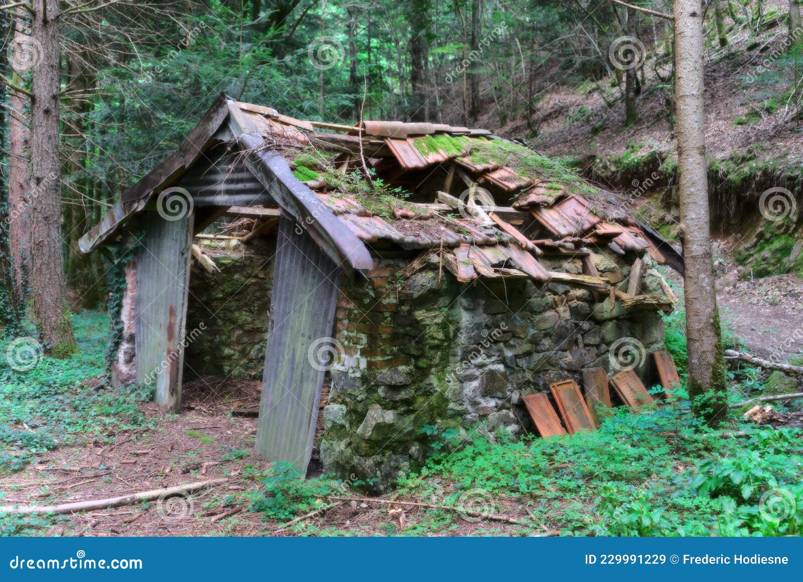 Ruin of Stone Cabin in Forest Stock Image - Image of dwelling, ruin ...