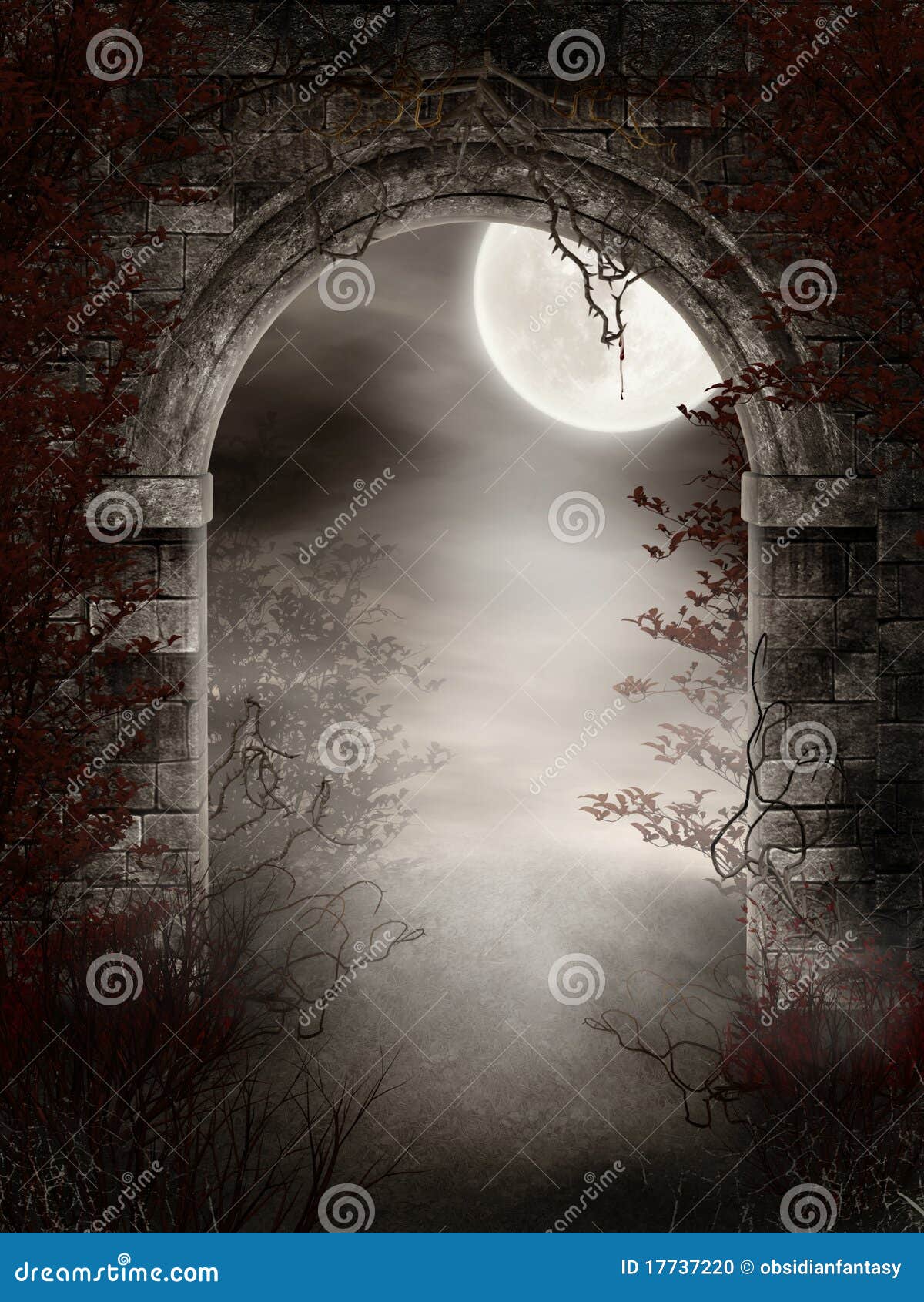 Ruinas De La Obscuridad Con Las Espinas Stock de ilustración ...