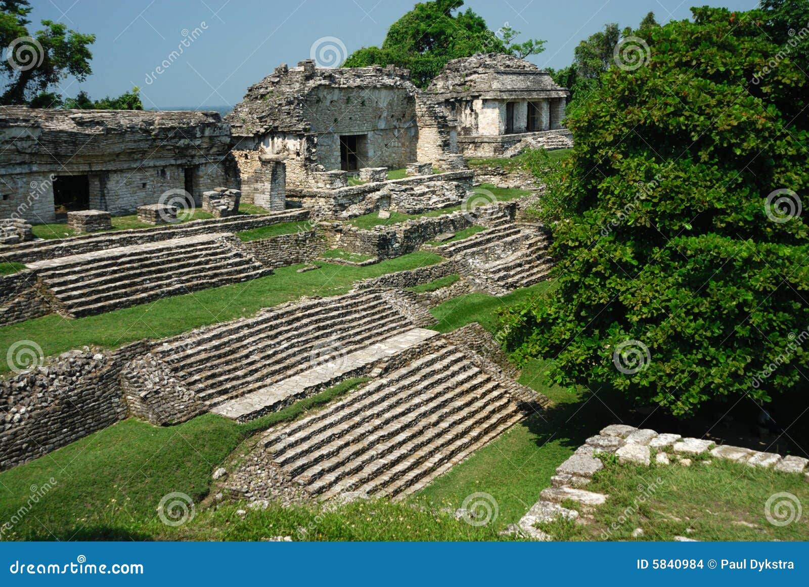 Ruinas de Palenque foto de archivo. Imagen de sitio, sociedad - 5840984