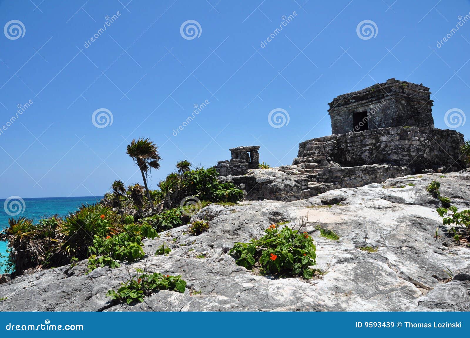 Ruinas de Tulum imagen de archivo. Imagen de tropical - 9593439