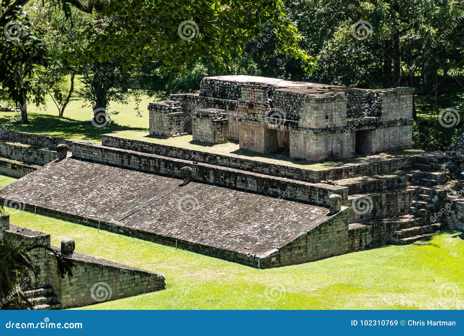 Ruinas Mayas De Copan, Honduras Imagen de archivo - Imagen de templo ...
