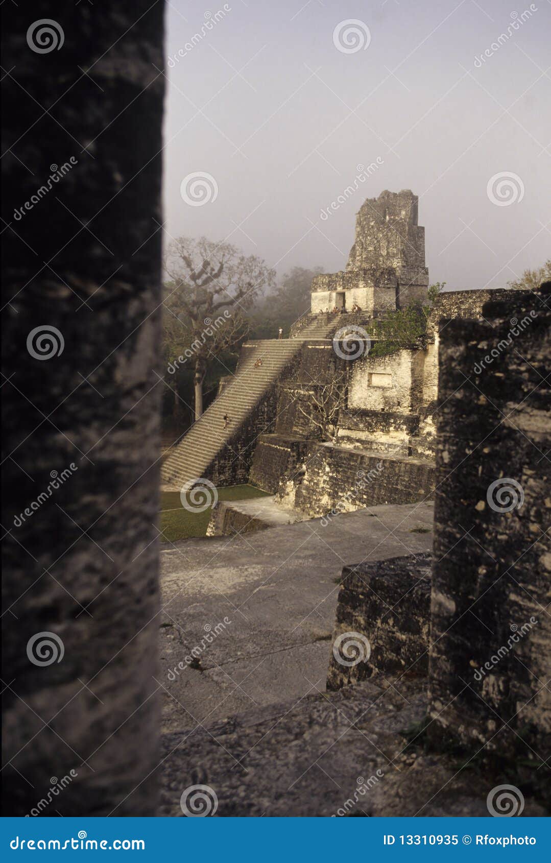 Ruinas Mayas Tikal, Guatemala Imagen de archivo - Imagen de herencia ...