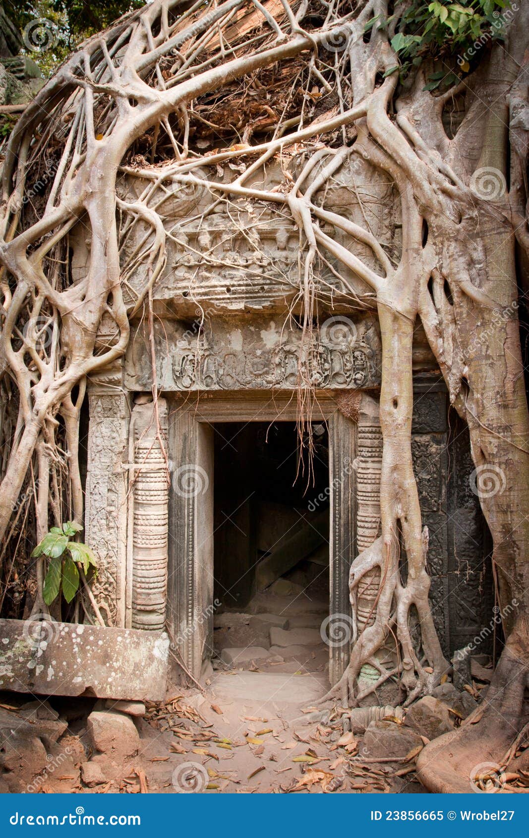 Ruine Des Temples, Angkor Wat, Cambodge Image stock - Image du ...