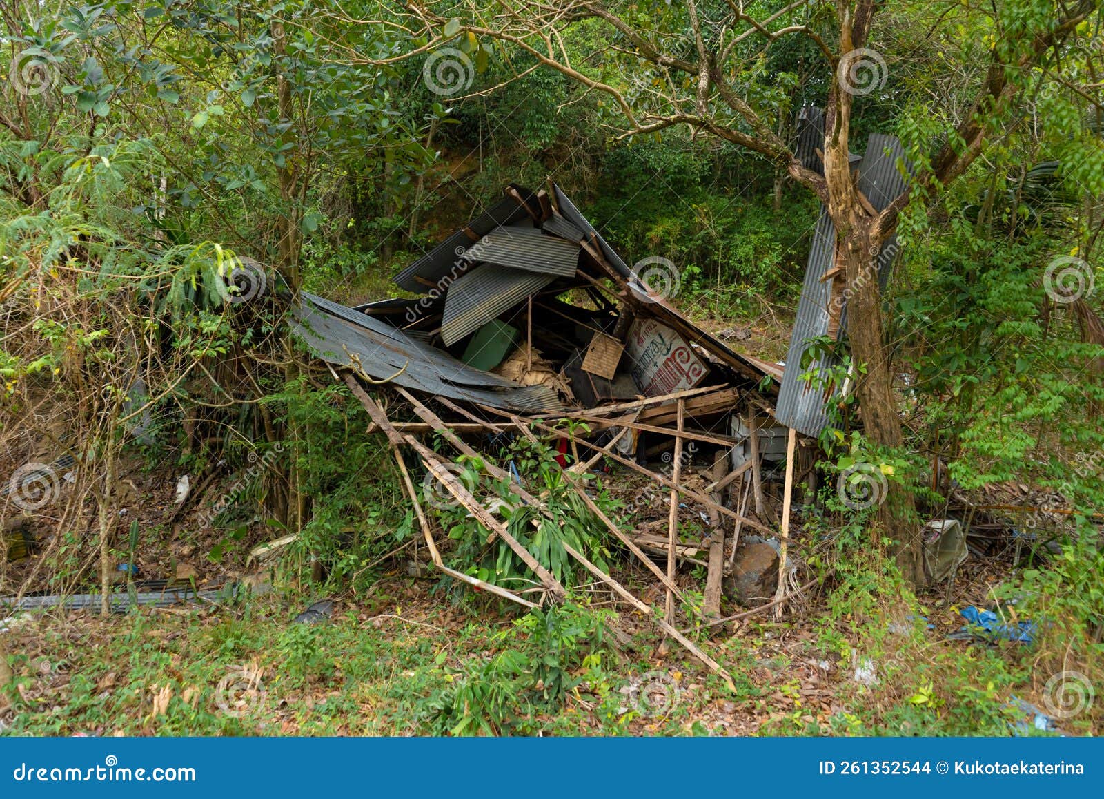 Ruined Abandoned Hut in the Jungle Close Up Stock Photo - Image of ...