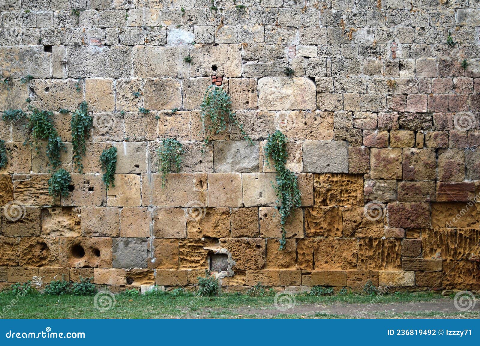 Ruined Ancient Stone Wall with Plants Growing on it Stock Photo - Image ...