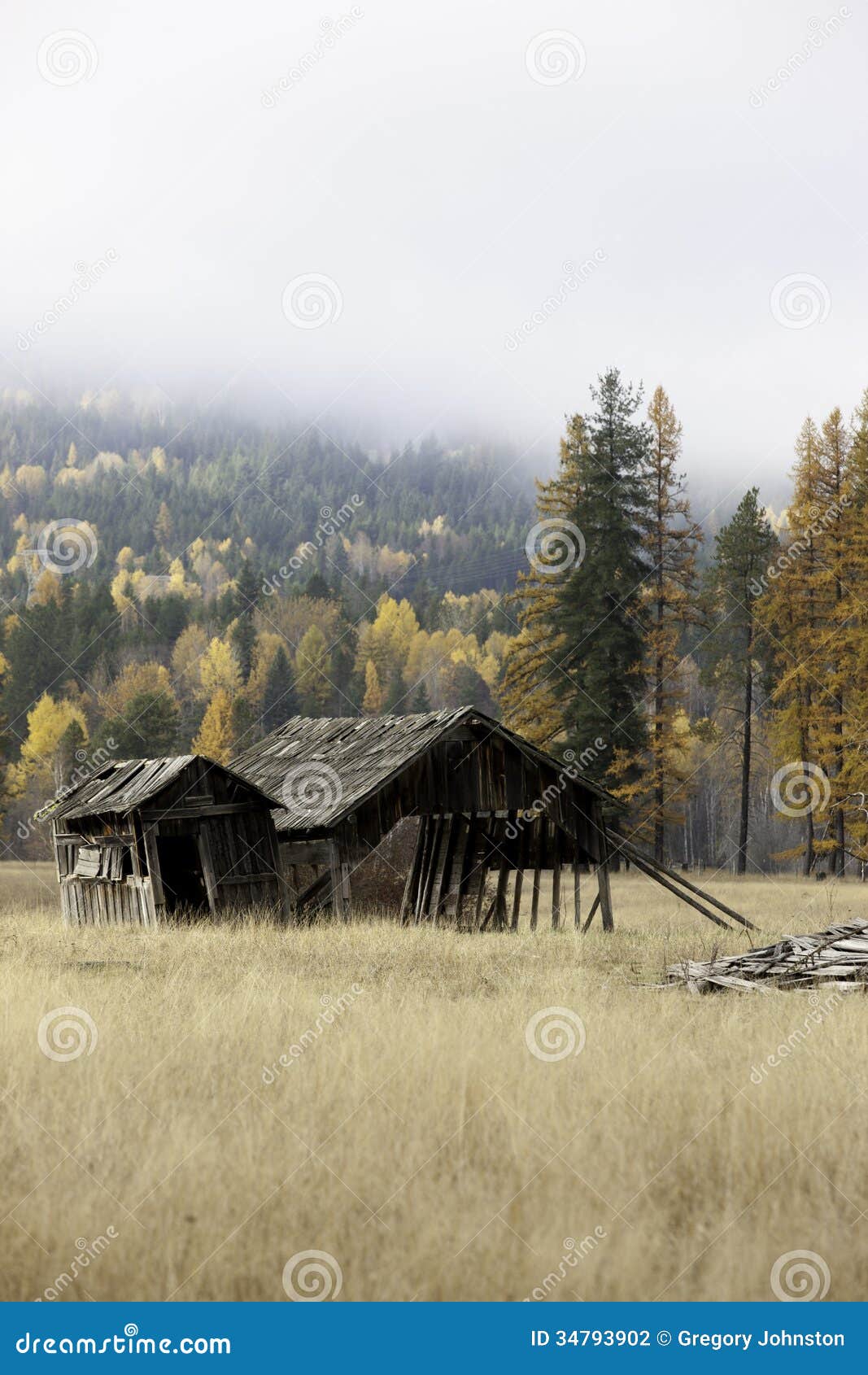 Ruined barn in field. stock photo. Image of rural, hill - 34793902