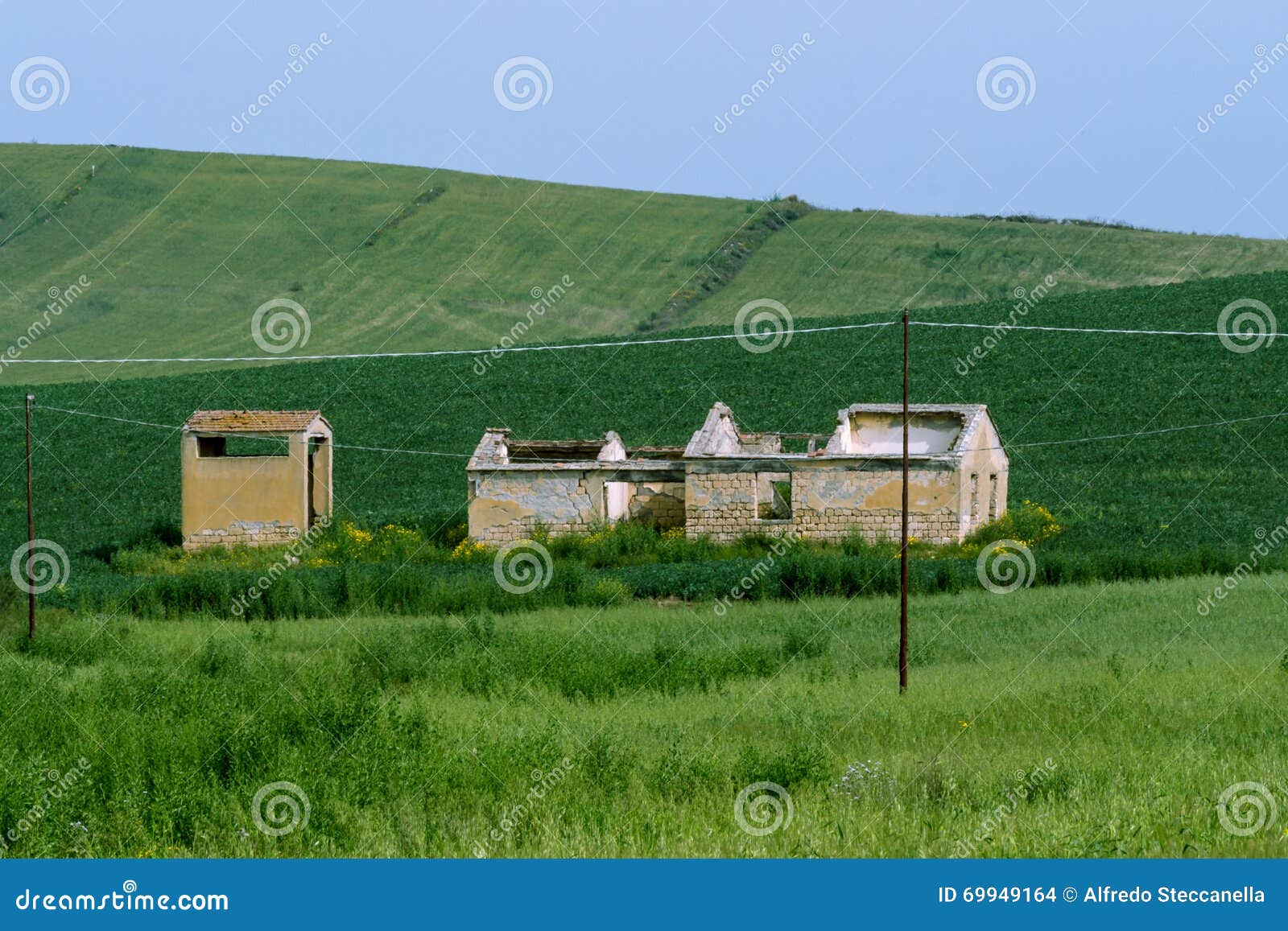 The ruined farm stock photo. Image of yellow, wheat, growth - 69949164