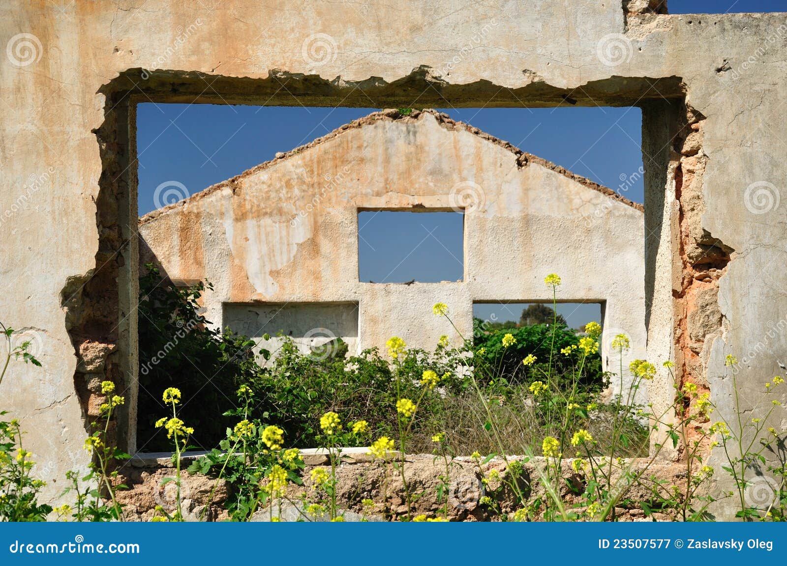 Ruined house. stock image. Image of house, flower, remains - 23507577