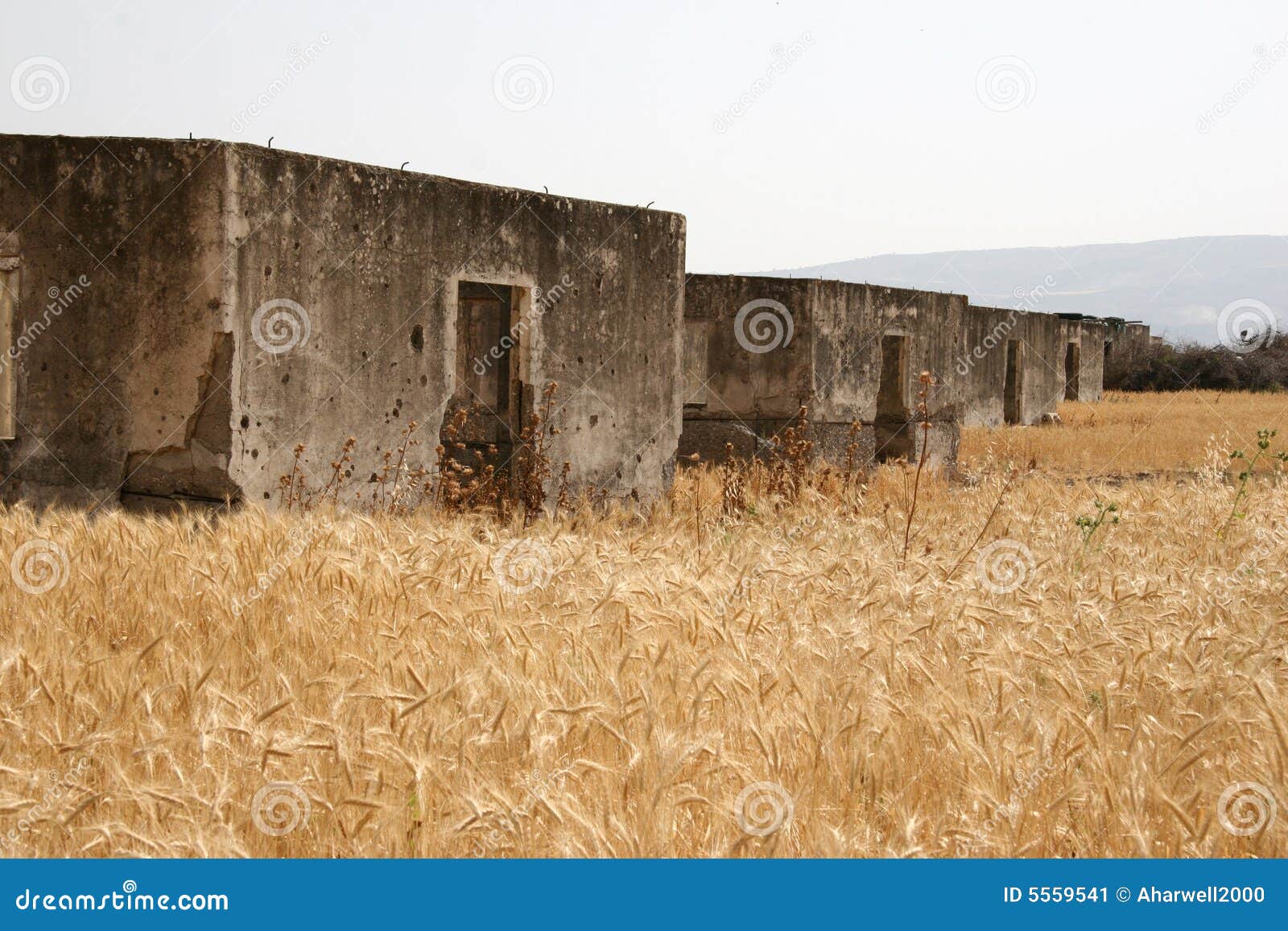 Ruined Houses in Wheat Field Stock Image - Image of picturesque ...