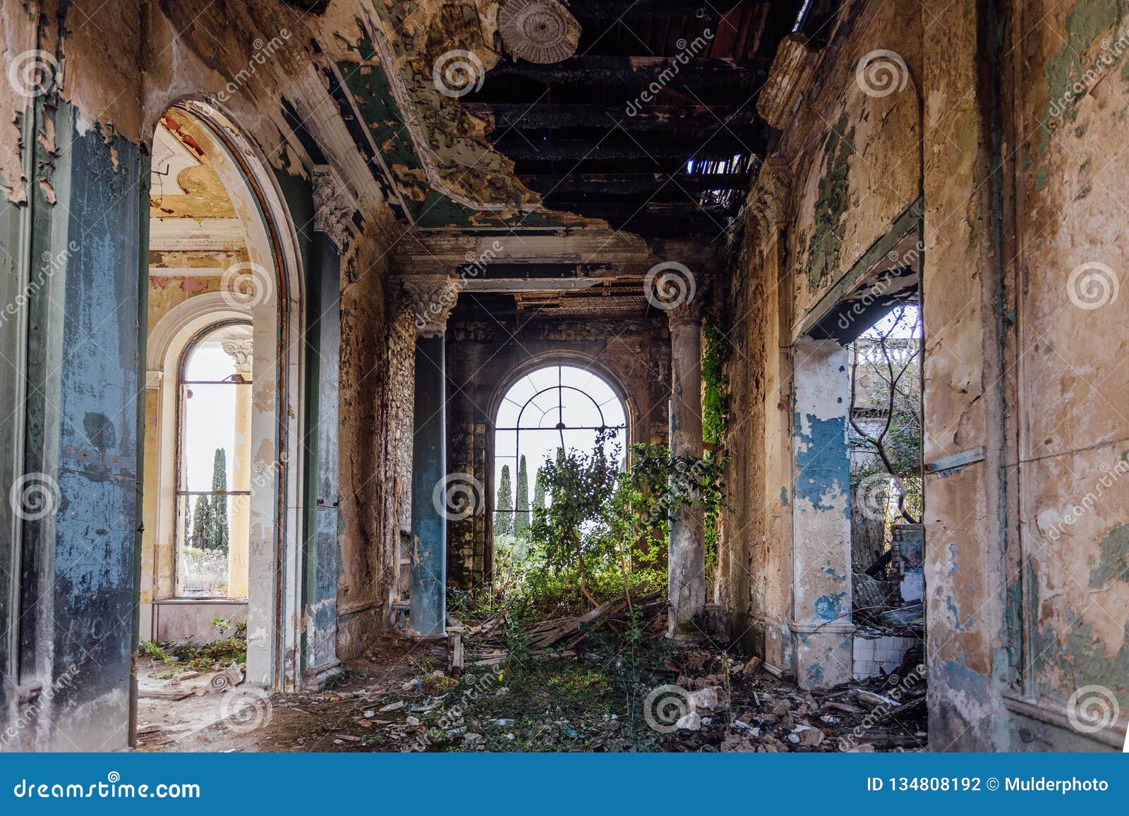 Ruined Large Hall Interior Overgrown by Plants and Moss Stock Photo ...