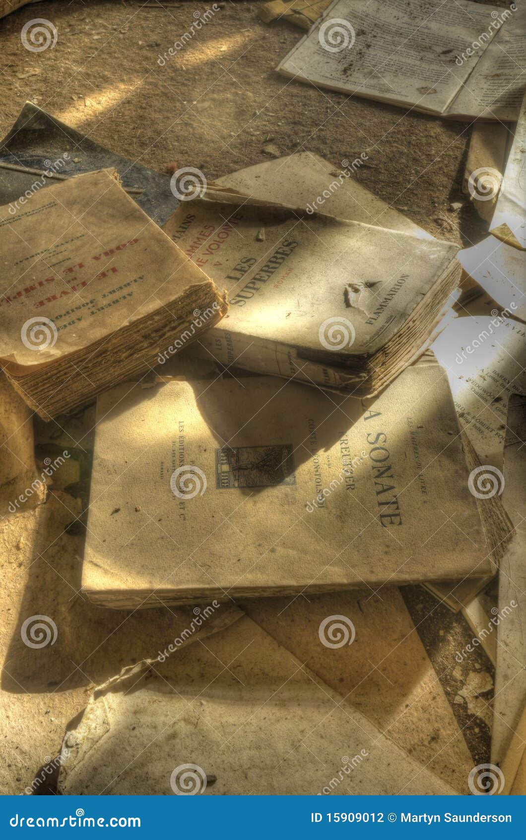 The Ruined Library stock photo. Image of vintage, room - 15909012