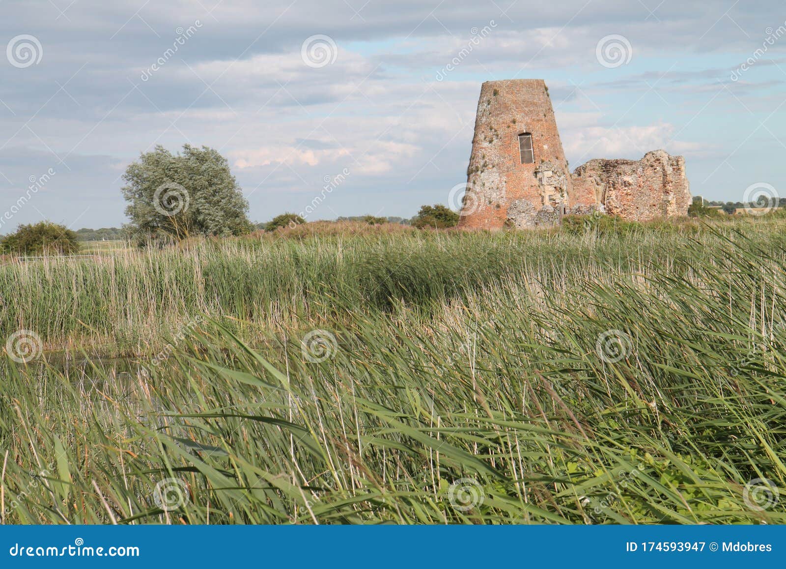 Ruined Mill at Howe Hill Norfolk Stock Image - Image of kingdom, green ...
