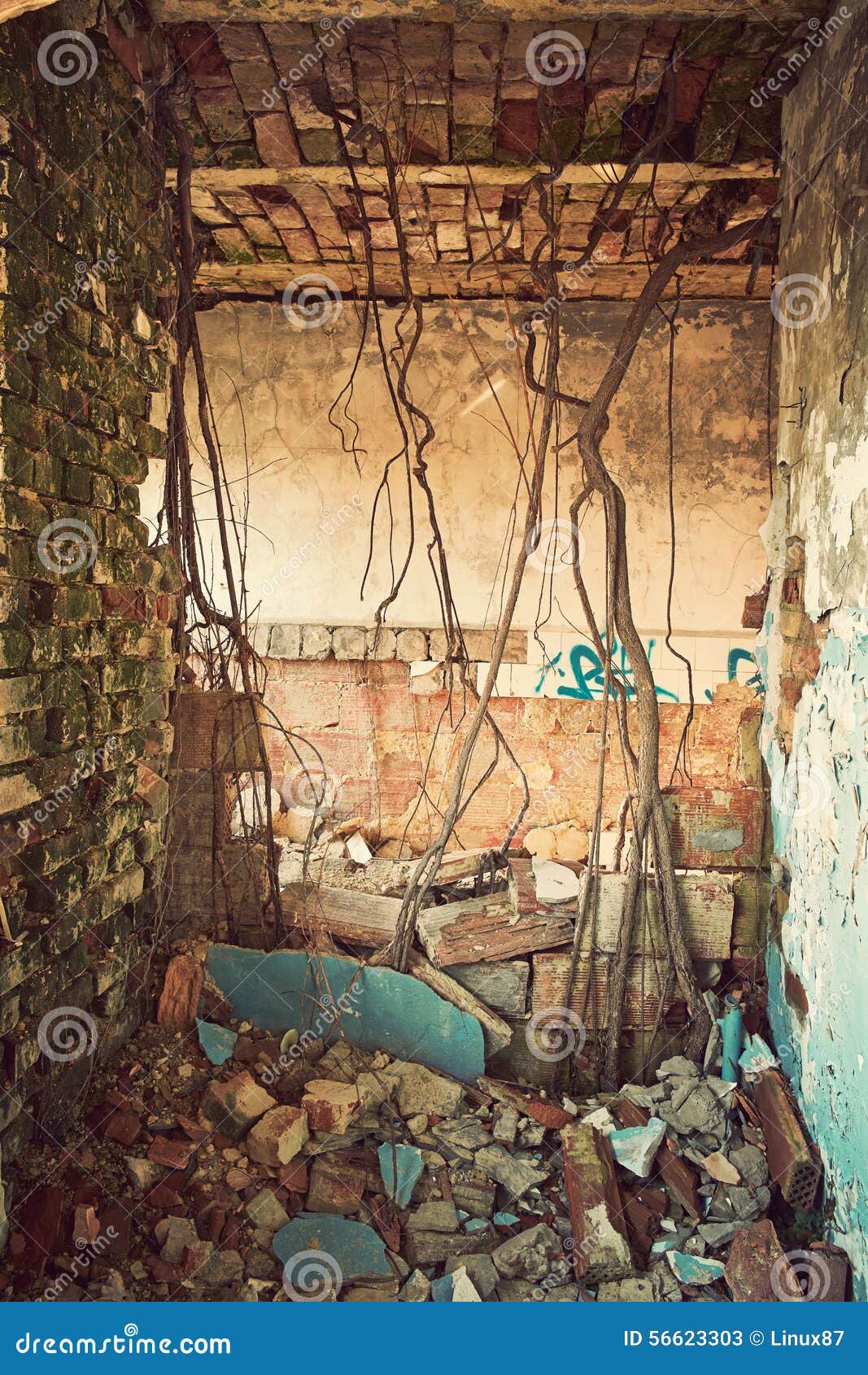 Ruined room stock image. Image of grunge, ancient, dirt - 56623303