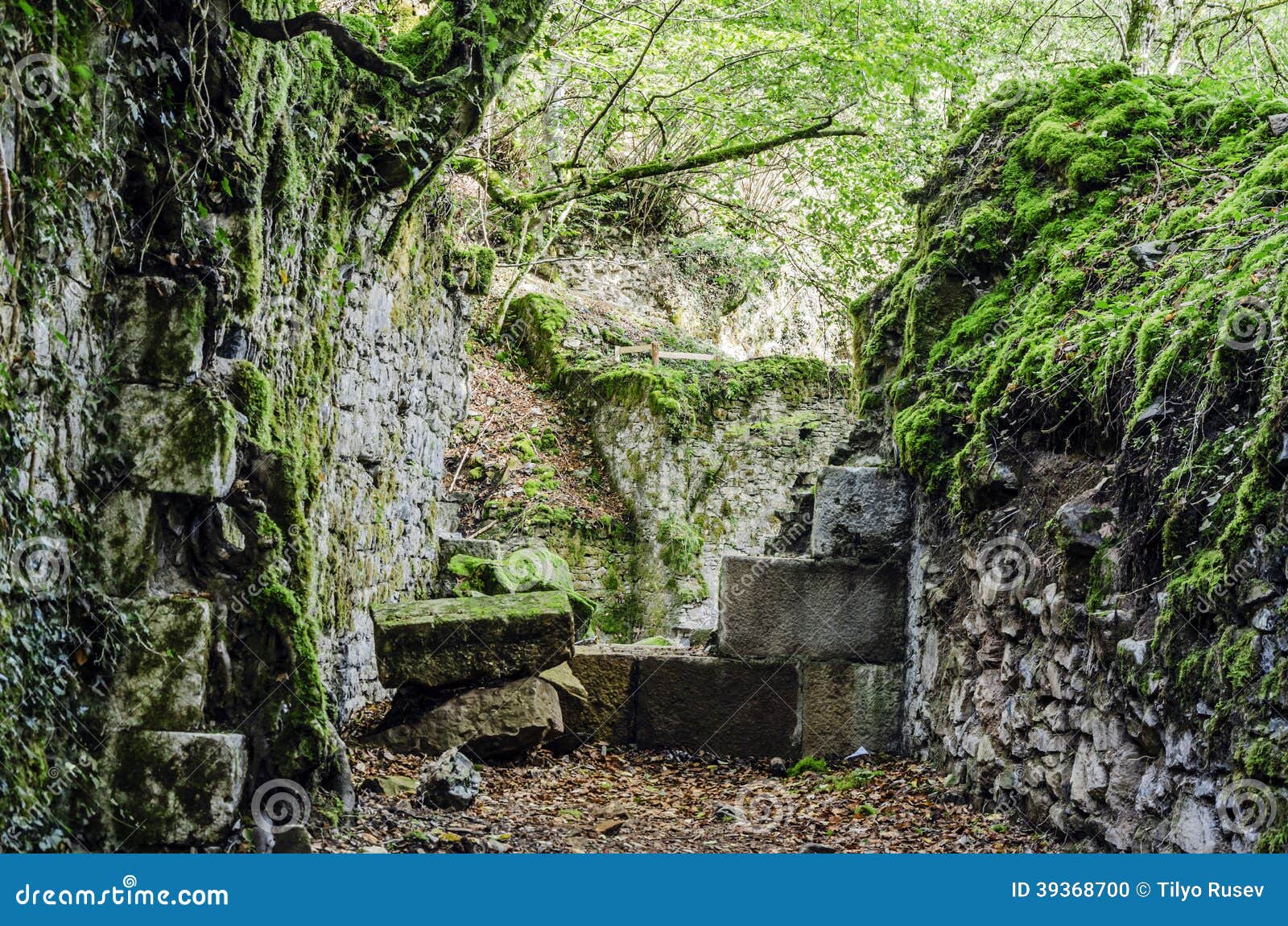 Ruinen im Wald stockfoto. Bild von spanien, bunt, schönheit - 39368700