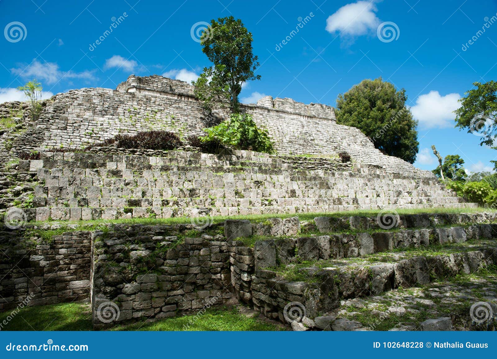 Ruines de kohunlich photo stock. Image du acropole, archéologues ...