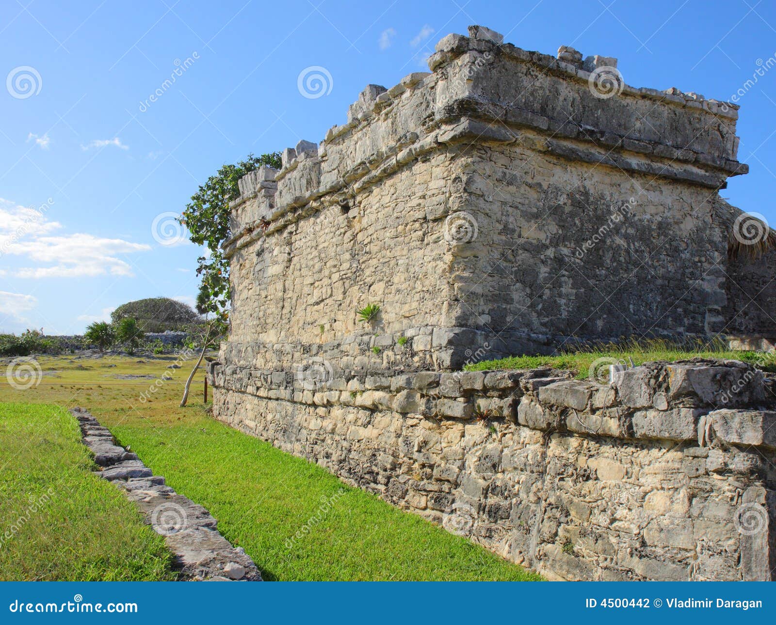 Ruines maya dans Tulum photo stock. Image du maya, pierres - 4500442