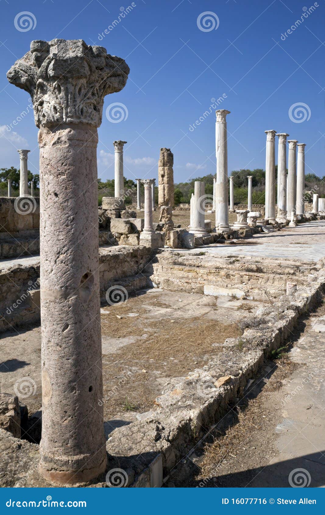 Ruines Romaines De Salamis - Chypre Turque Photo stock - Image du ...