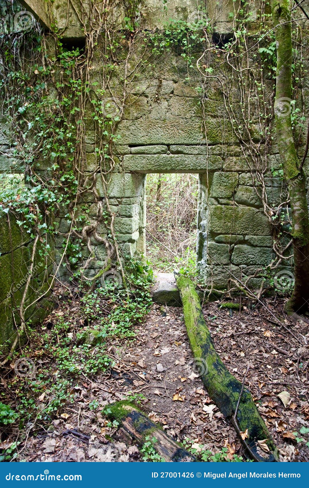 Ruinous house stock photo. Image of vegetation, crumbling - 27001426