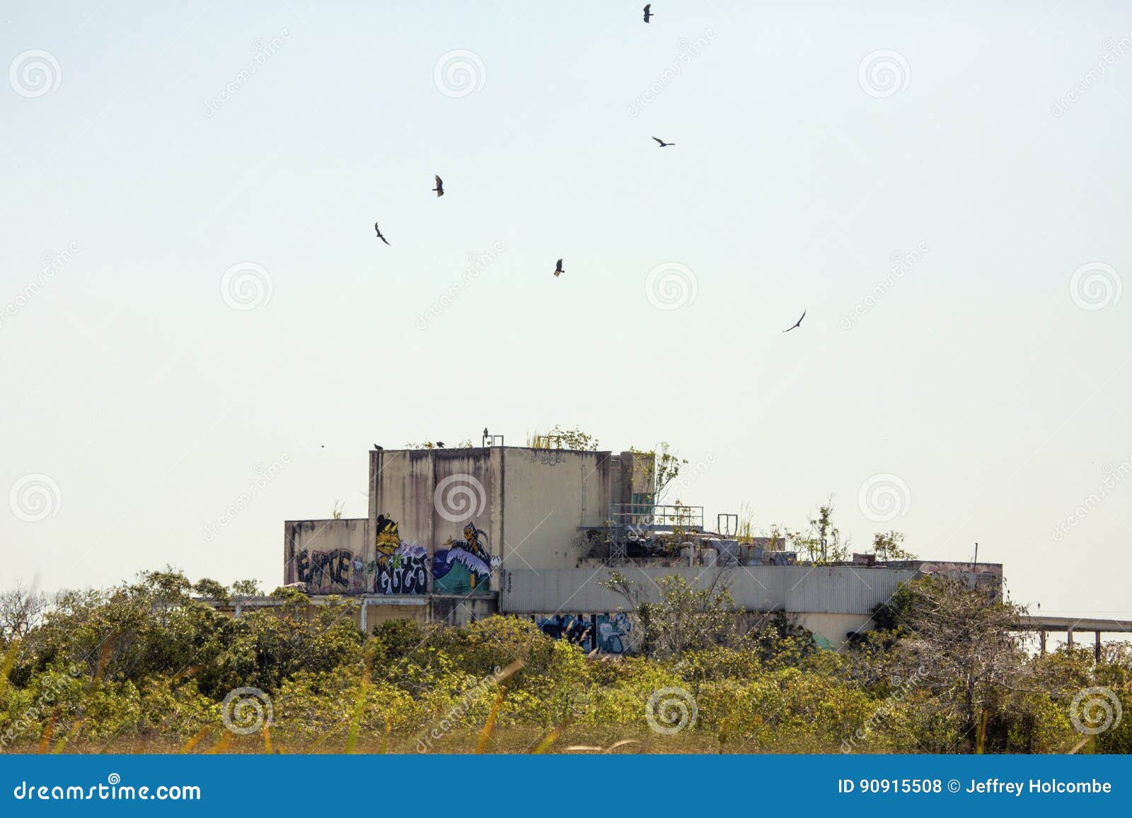 Ruins of the Abandoned Aerojet Factory in the Florida Everglades ... Ruins of the Abandoned Aerojet Factory in the Florida Everglades ...
