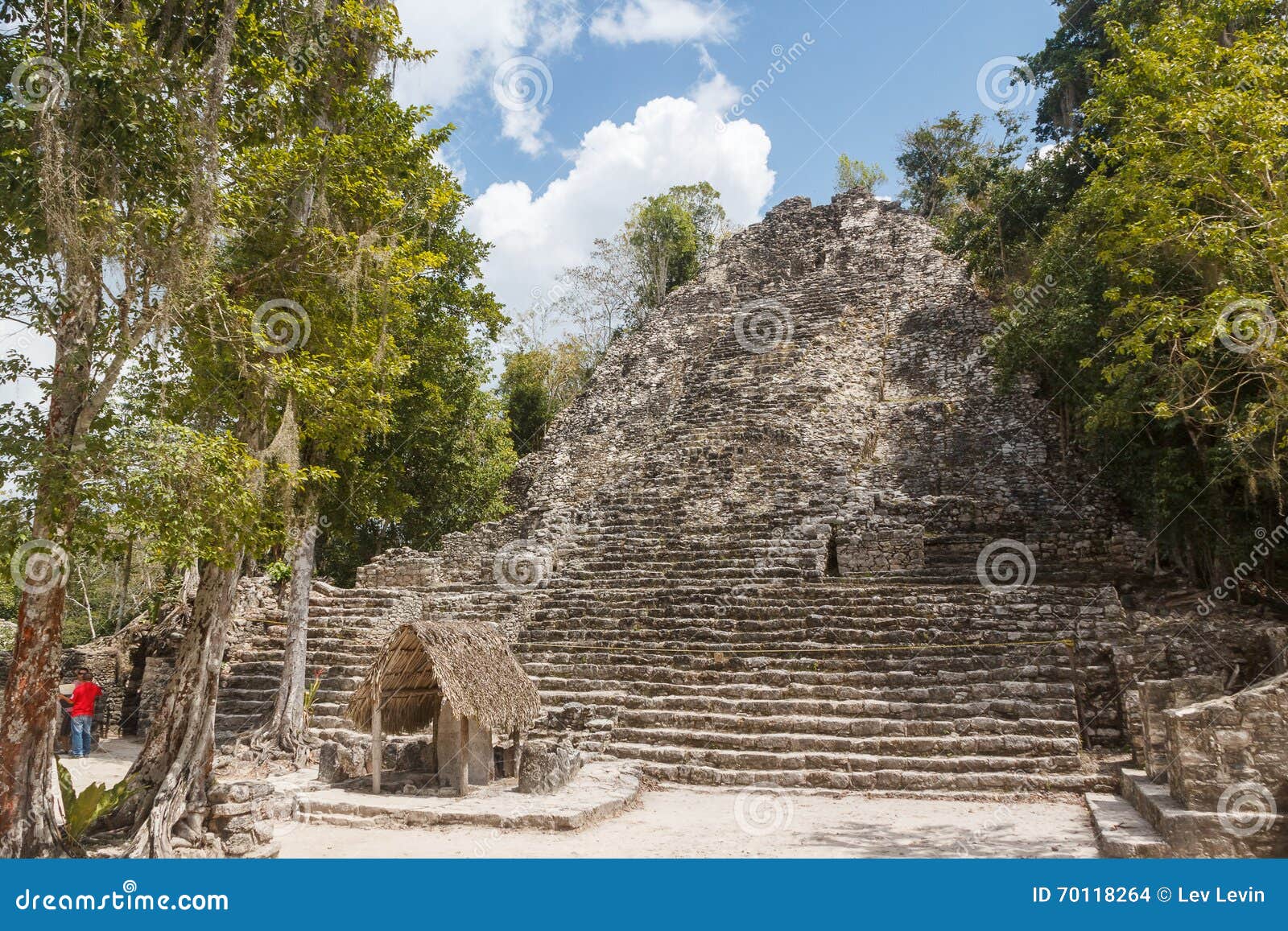 Ruins of the Ancient Mayan City of Coba Editorial Stock Image - Image ...