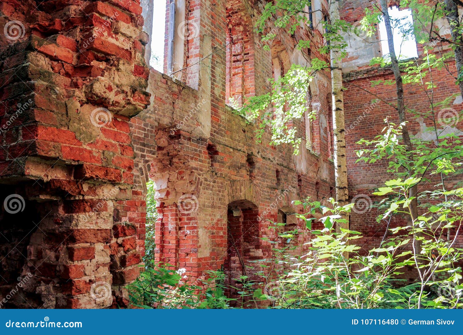 Ruins in the forest. stock photo. Image of wall, trees - 107116480
