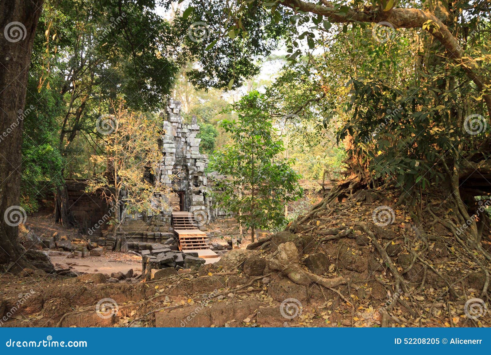 Ruins of Ancient Temple Lost in Jungle Stock Image - Image of jungle ...