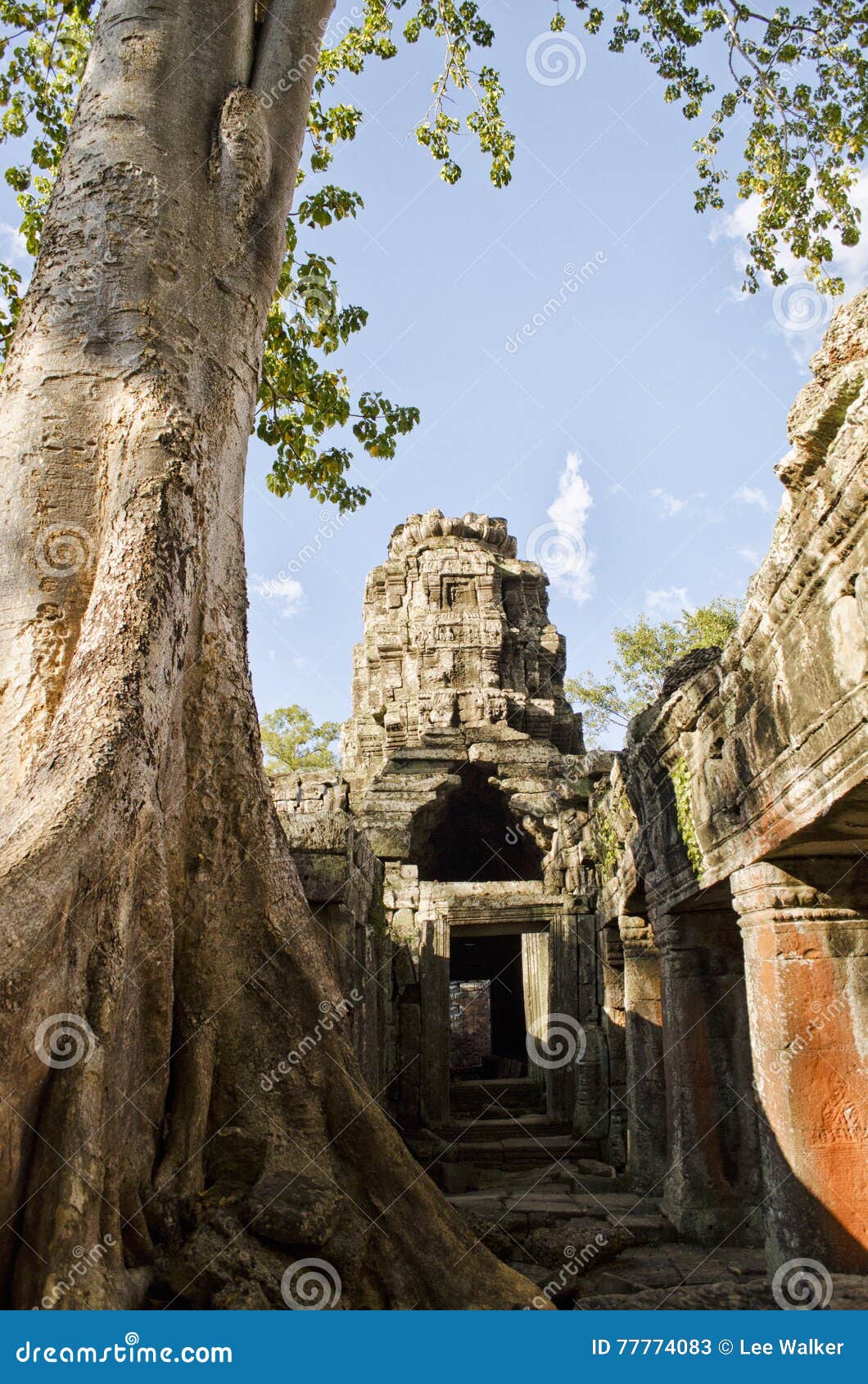 Ruins at Angkor Wat stock image. Image of face, asia - 77774083